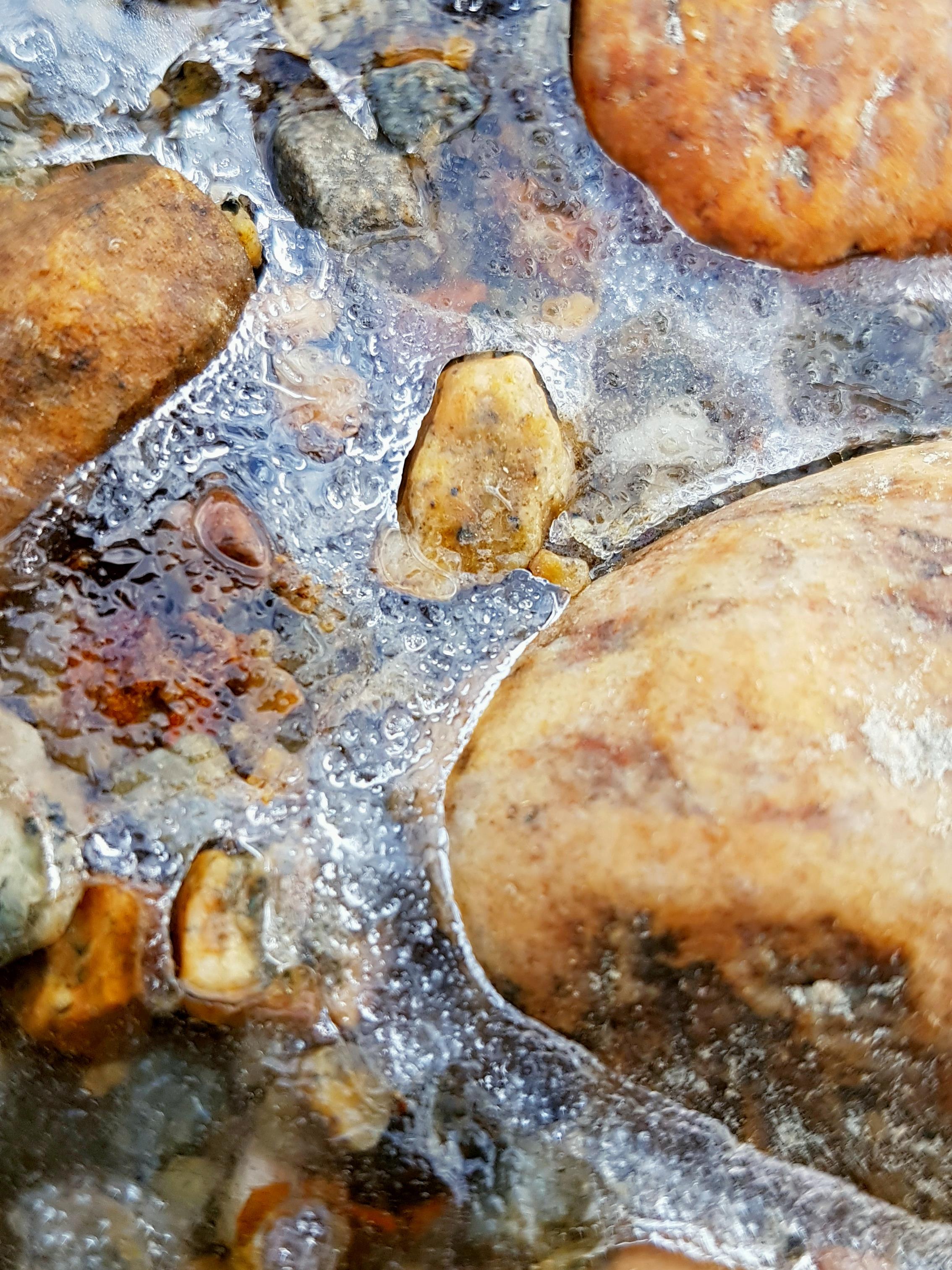 Om Vassenden skule - Hovedportal